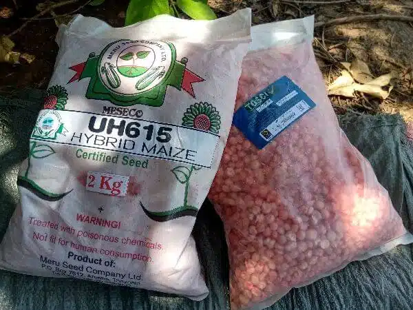 Aina 29 Mpya za Mbegu za Mazao | Mogriculture Tz