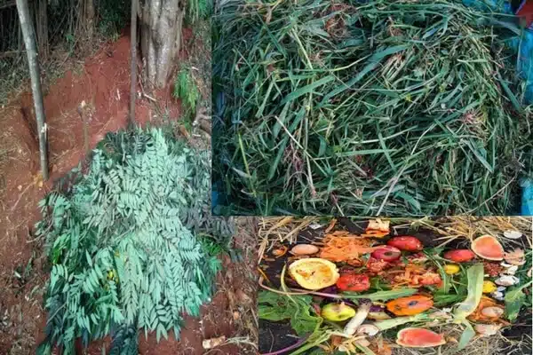 Mbolea vunde [Mboji]: Jinsi ya kutengeneza, matumizi na faida zake ...