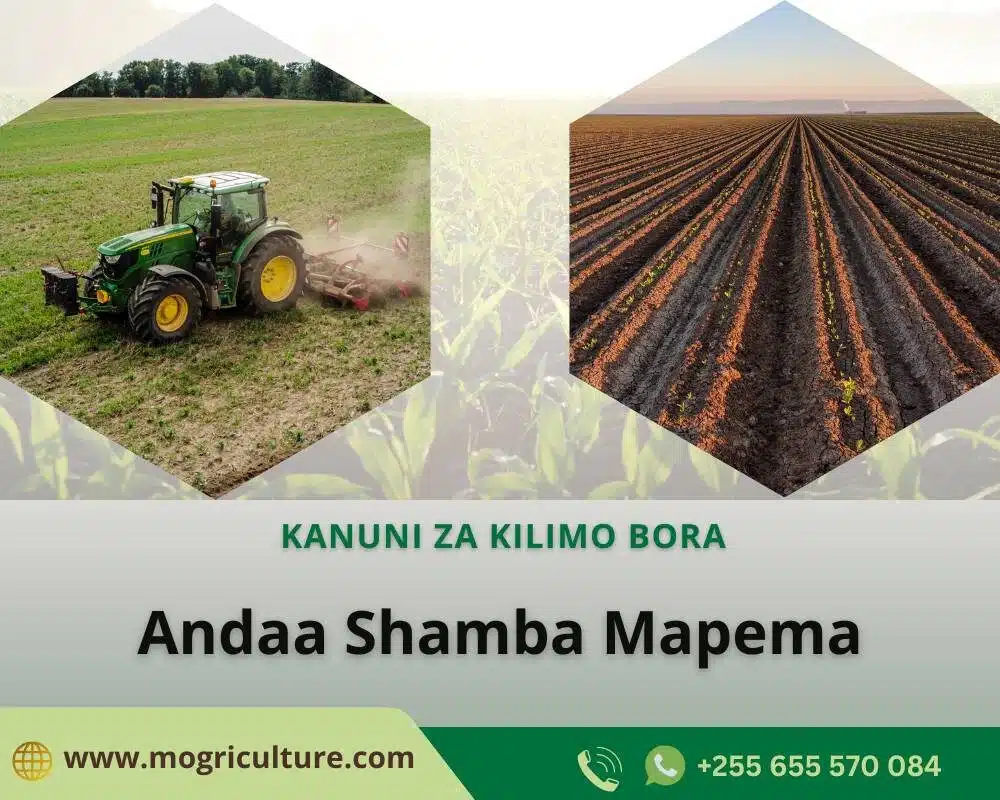 Kanuni 12 za kilimo bora chenye tija Tanzania | Mogriculture Tz