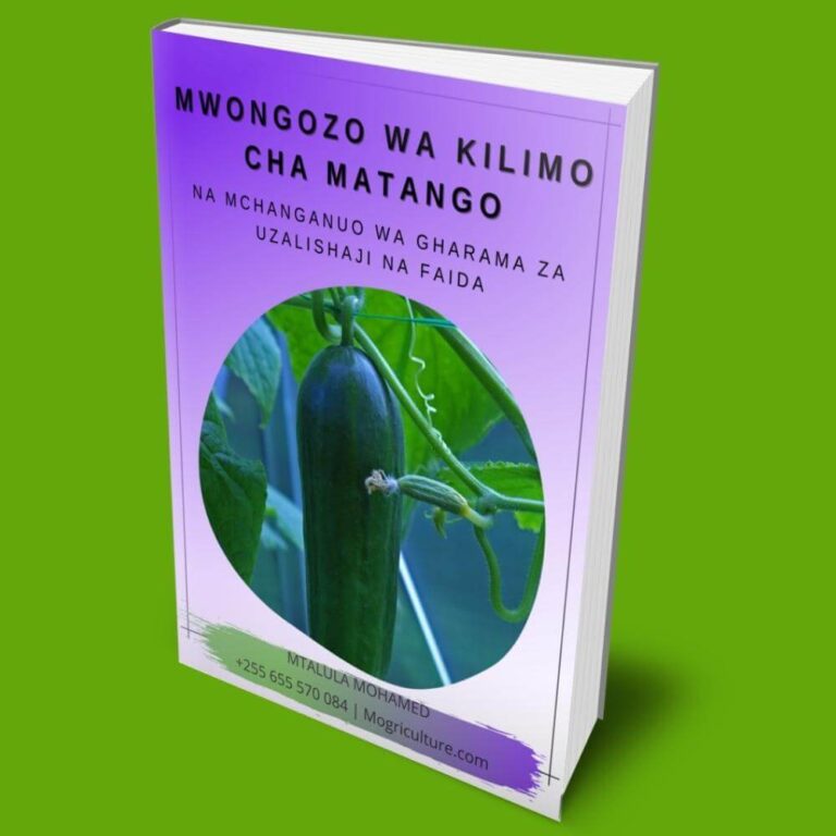 [PDF] Mwongozo wa Kilimo cha Matango | Mogriculture Tz