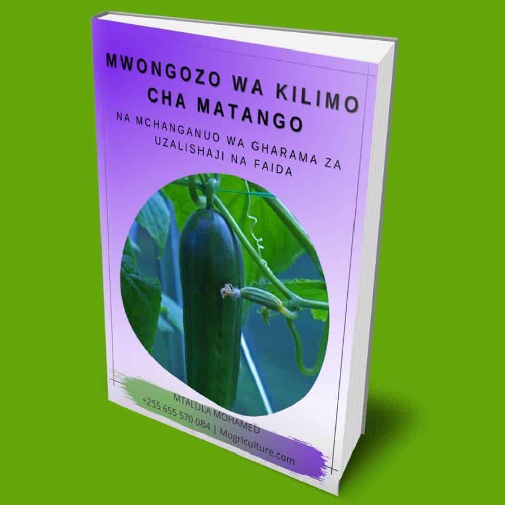 [PDF] Mwongozo wa Kilimo cha Matango | Mogriculture Tz