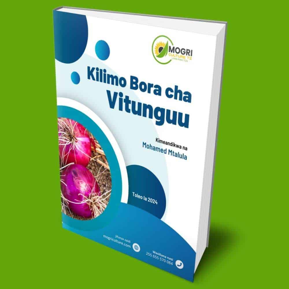 Jinsi ya kufanya Kilimo cha Vitunguu Maji kitaalam | Mogriculture Tz