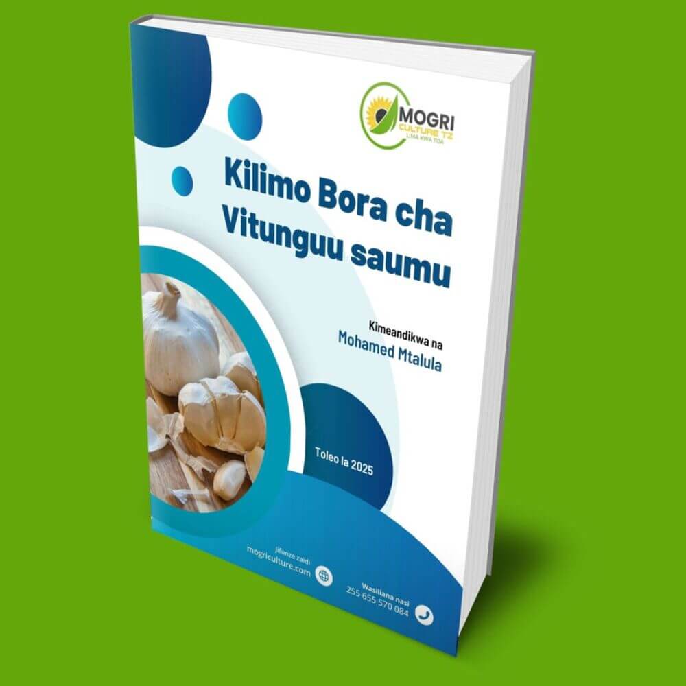 Kilimo cha Kisasa cha Mahindi | Mogriculture Tz
