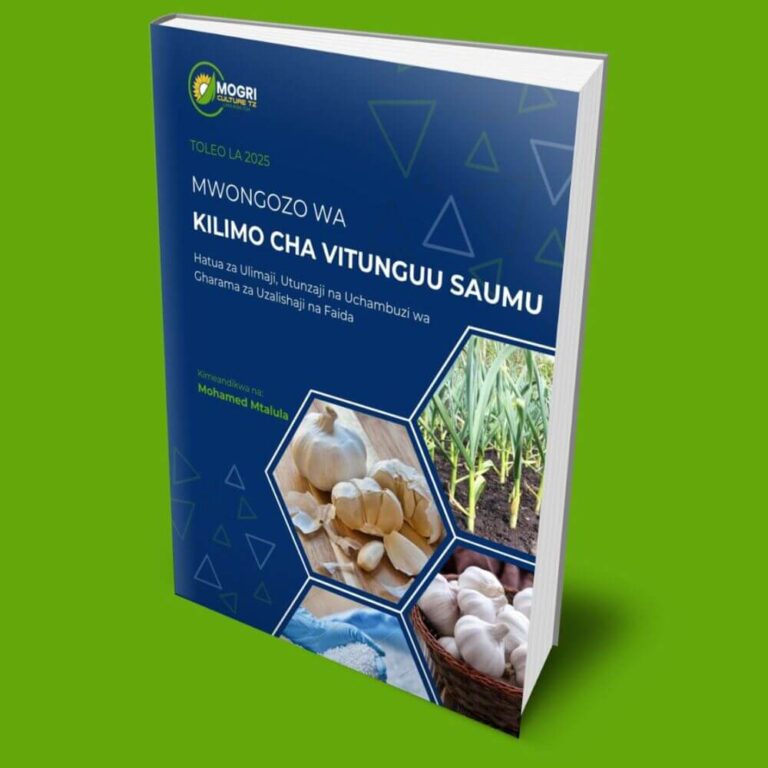 Kilimo cha Kisasa cha Mahindi | Mogriculture Tz